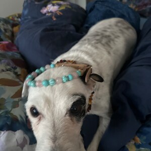 Anti Tick Collar for Dog, Em Ceramic, Sodalite and Tiger's Eye ...