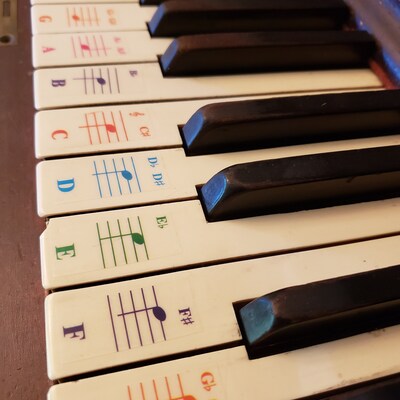 Color Piano Stickers for 49/61/ 76/88 Key Keyboards Transparent and ...