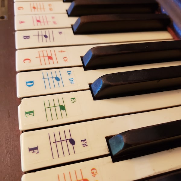 Color Piano Stickers for 49/61/ 76/88 Key Keyboards – Transparent and ...