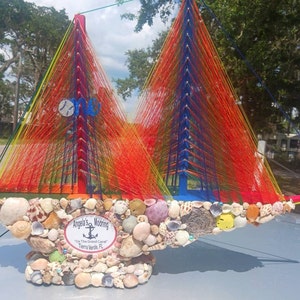 Pearl Turbo Setosus Shell 1 3/4 2 1/4 Opening 1 - Etsy