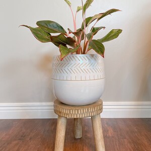 Hand Carved Mango Wood Plant Stand From India - Etsy