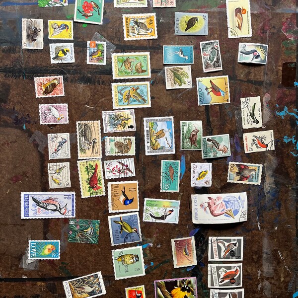 BIRD Stamps, 50 Diff, Bird Postage Stamps, Birds on Stamps, Postage ...