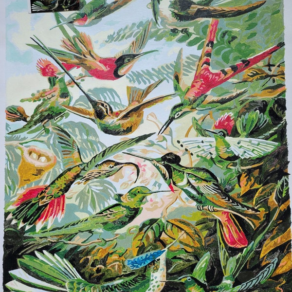 Hummingbirds - USA Shipping - DIY Paint by Number Kit Acrylic Painting ...