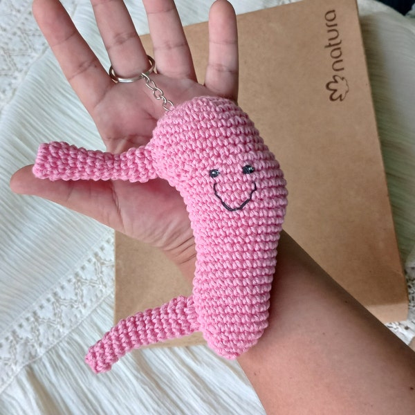 Crochet Anatomical Stomach- PDF PATTERN | Crochet Anatomy, Body Parts ...