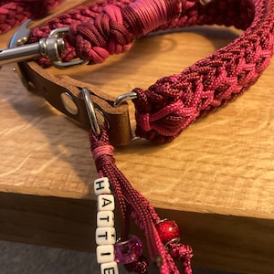 Custom Horse Tack With Name Tag, Personalized Lead Rope for Pets, With ...