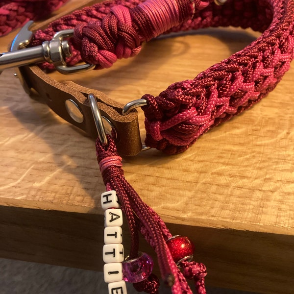 Custom Horse Tack With Name Tag, Personalized Lead Rope for Pets, With ...
