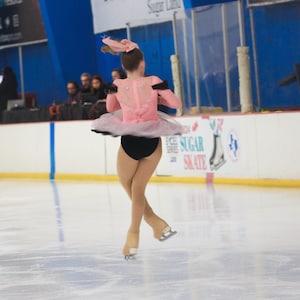 BLUE Customized Dress/ Costume/ Figure Skating/ Ice Dance/ Ice Skate ...