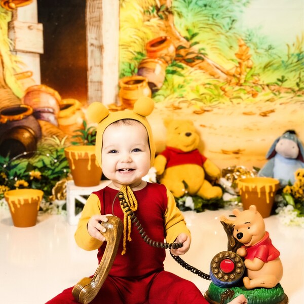 Honey Bear- Sitter Bear Outfit, Bear Photo Props, Newborn Bear Outfit ...