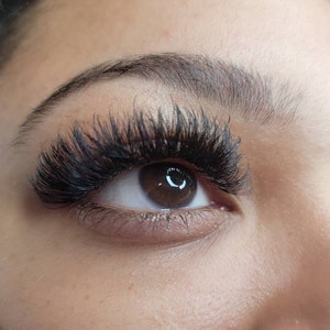 5D 7D Wispy Lashes 1000 Fans 0.07 Mixed Lengths Premade Volume - Etsy