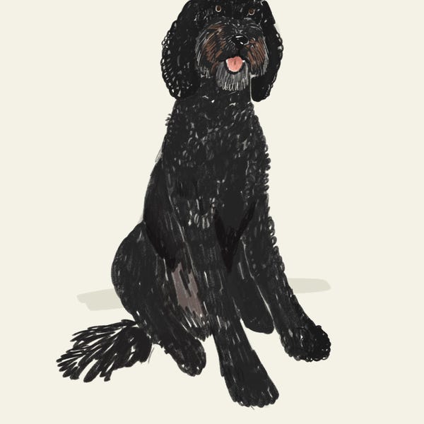 Pink Dnd Character Sheet Girly Dnd Dungeons and Dragons Character ...