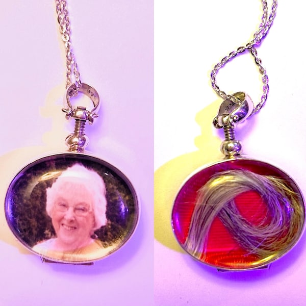 Preserved Scarab Beetle Anatomy Taxidermy Display - Etsy