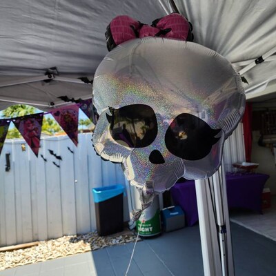 Bluey and Bingo Balloons, Bluey Birthday Decorations, Bluey Birthday ...