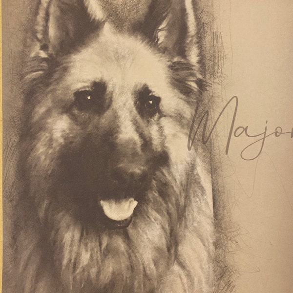 Editable Chores Schedule | Printable | Weekly, Rota Checklist ...