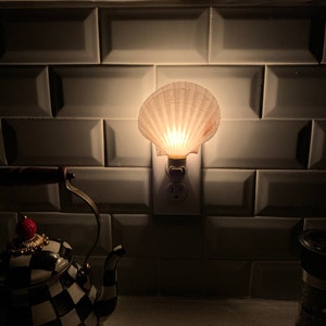 DEEP SCALLOP Sea Shell NIGHTLIGHT - Etsy