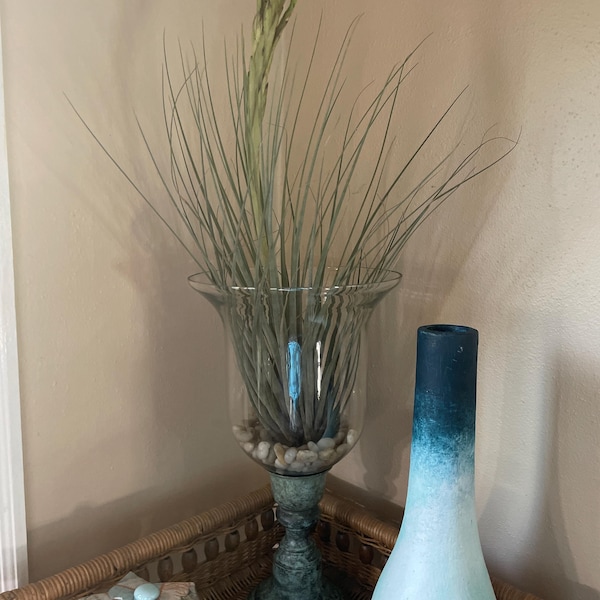 Xenomorph Abnormity Predator Alien -for-tat Silhouette Style Car ...