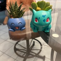 Bulbasaur pintado y maceteros extraños con suculentas/cactus vivos Dos maceteros en cada orden ...