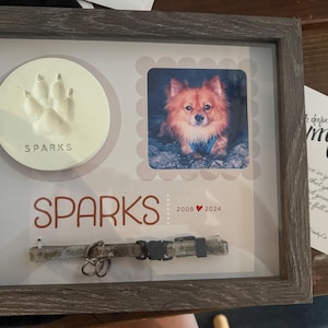Pet Memorial Paw Print Holder Shadow Box, Two Paw Prints, Pet Loss ...