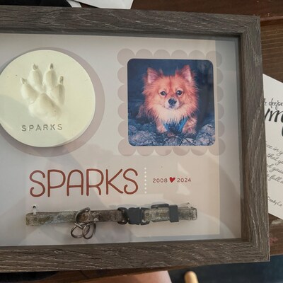 Pet Memorial Paw Print Holder Shadow Box, Two Paw Prints, Pet Loss ...