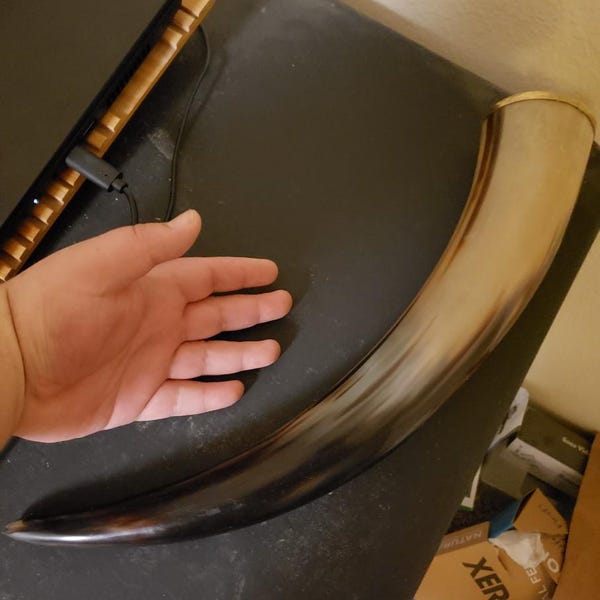 Medieval Real Ox Horn Cup Mug - Rustic Viking Drinking Beer Mug Cup ...