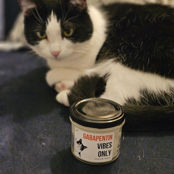 Civil Servant Definition Print Customizable, Dictionary Poster, Quote ...