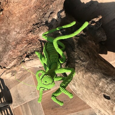 Caterpie Crochet Pattern - Etsy