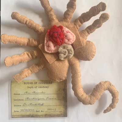 Facehugger Felt Anatomy Biology, Aliens, Nostromo, Chest Burster ...