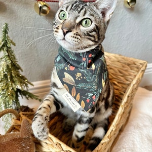 Toads and Mushrooms, toadally Fungi Cream Velvet, Forest, Reversible ...