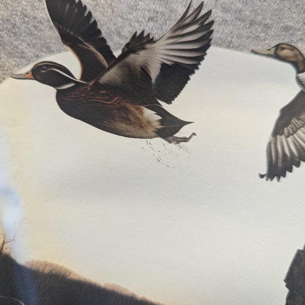 Sarcastic Chicken DTF Transfer, Funny Farm Life Print, Playful Attitude ...