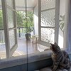 Custom Flat Cats Window Screens - Mesh Window Protection for Cats - Etsy