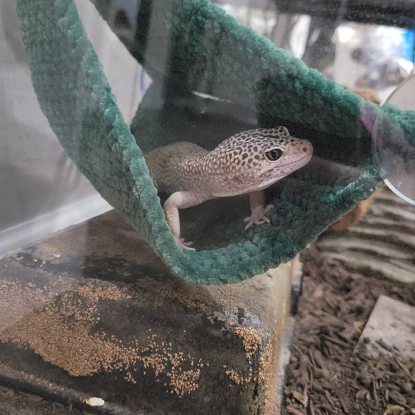 2 in 1 Hide Hammocks, Double Leopard Gecko Hammock, Small Reptile ...