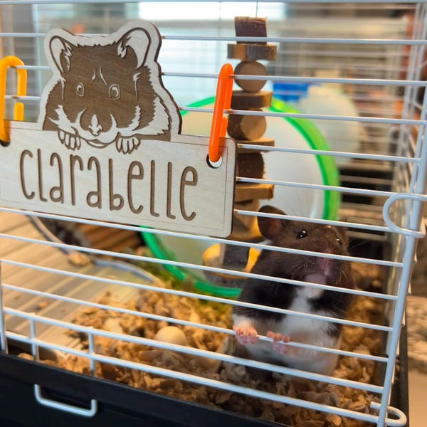 Sugar Glider Duo Cage Tag, Personalized, Custom, Engraved Wood, Sugar ...