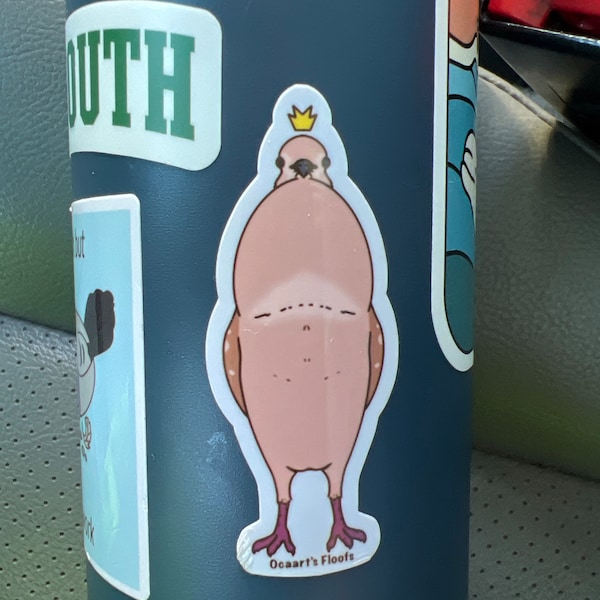 Timberdoodle Sticker | Funny Vinyl Weatherproof Water Bottle ...