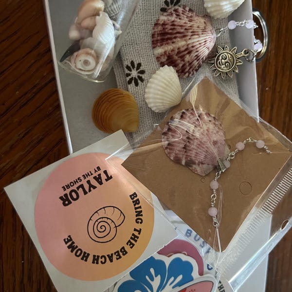 White Calico Shell With Paperclip Chain - Etsy