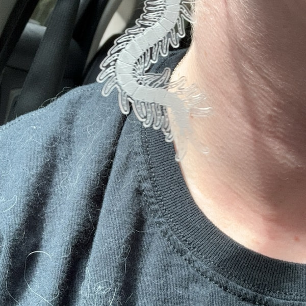 Centipede - Scolopendra - Centipedes - Invertebrates - Arthropod ...