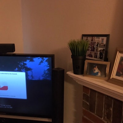 Blink Mini Cover Disguise Camouflage Case Hide Your Blink Mini Camera ...