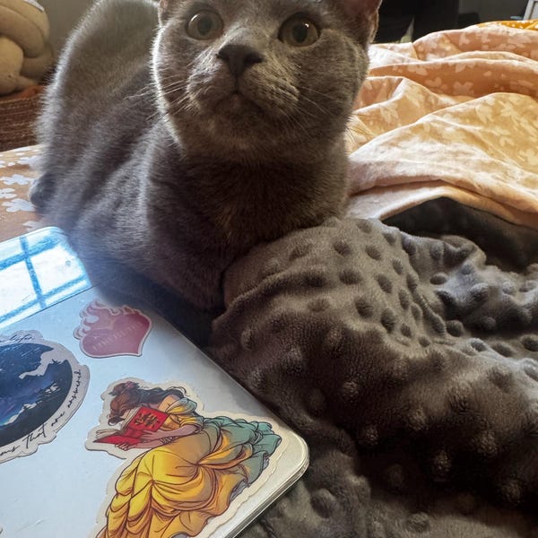 I Solemnly Swear to Drive Safely - Etsy