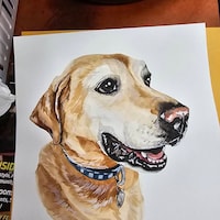 36 Set Dog Instagram Highlight Icons Unique Watercolor Dog Icons Pet ...