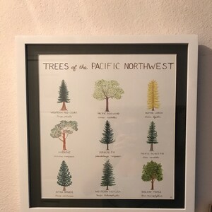 Pacific Northwest Trees Art Print / Washington State Art / Trees Art ...