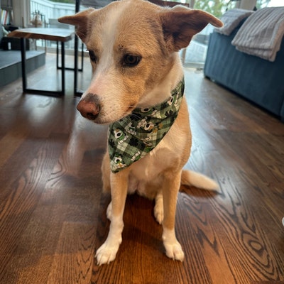 BOHO Dog Bandana Aztek Dog Bandana Pet Bandana Tie & Snap Dog Bandana ...