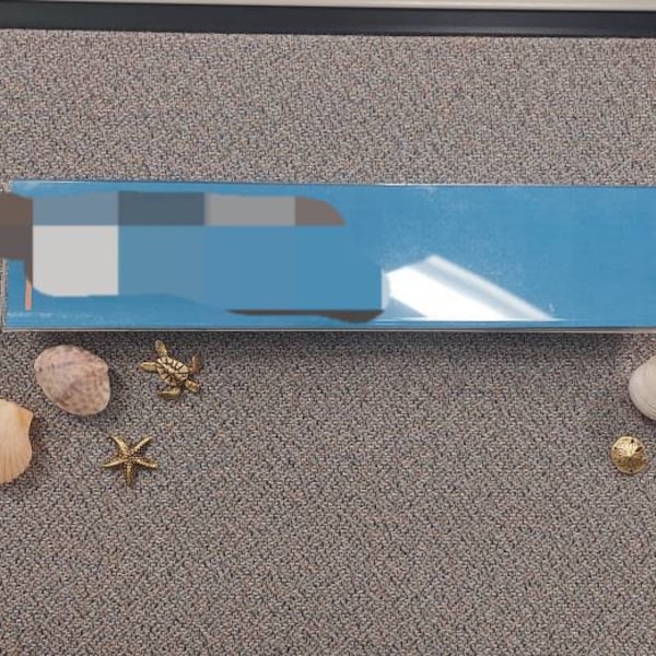 20 SEASHELL PUSH PINS -wooden Tacks-message -bulletin Board Accessories ...
