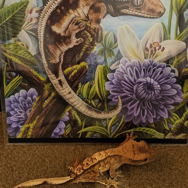 Crested Gecko Garden - 5x7 Fine Art Print - by Laura Airey Le - Crested ...