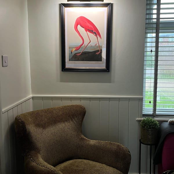 Pink Flamingo Vintage Art Print, Birds of America Decor, Antique Bird ...