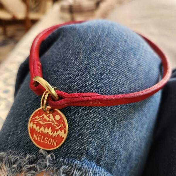 Custom Leather Dog Tag Collar - ID Holder - Etsy