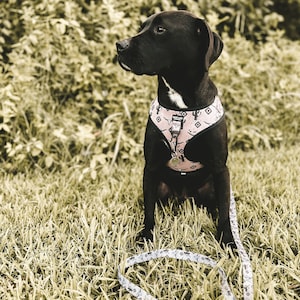 Western Print Dog Harness, Ruff Life Clothing Co, Walk Wear, Pet ...