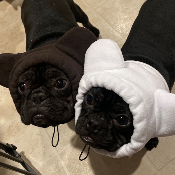 Frenchiestore Organic Dog Frenchie Ear Warmers | White Frenchie - Etsy