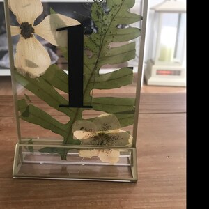 Teapot Table Numbers Teapot Table Tents Teapot Table | Etsy