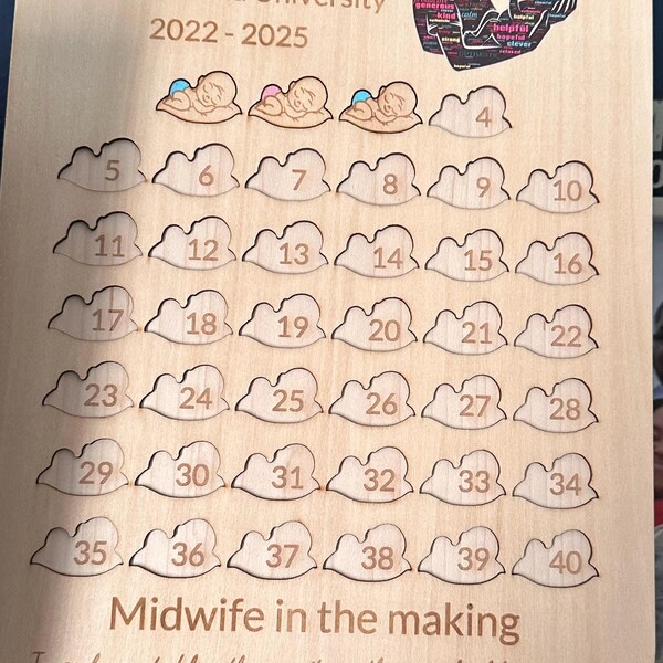 Cuterus Pin. Midwife ,midwifery Student Brooch Gift. - Etsy UK