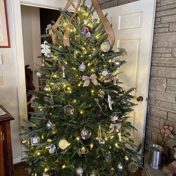 Red Velvet & Berries With Bows on Burlap Ribbon 12 Wide Bow 6 Streamers ...