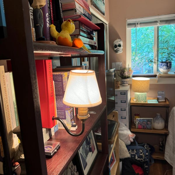 Bookshelf Lamp. Bookcase Light. Bookshelf Decor. Home Library/home ...