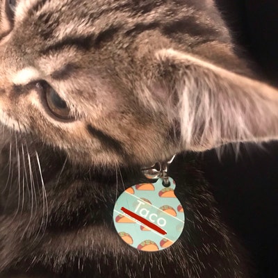 Taco Dog Tag, Double Sided Dog Tag, Taco Cat Tag, Blue Dog Tag, Funny ...